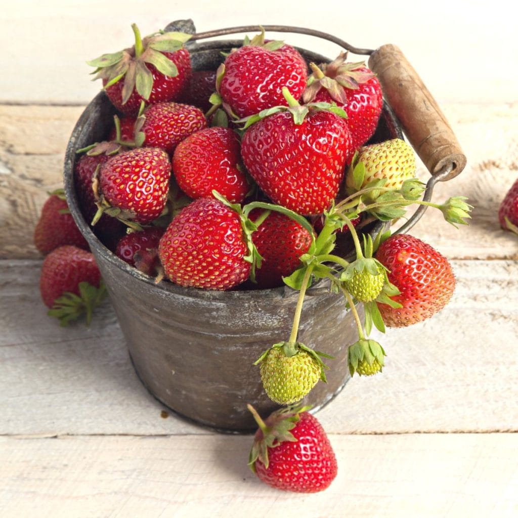 Interesting Strawberry Facts That Will Amaze
